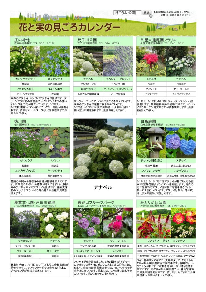 花の見ごろ 戸田川緑地イベント UPしました – 名古屋市みどりの協会 行こうよ公園